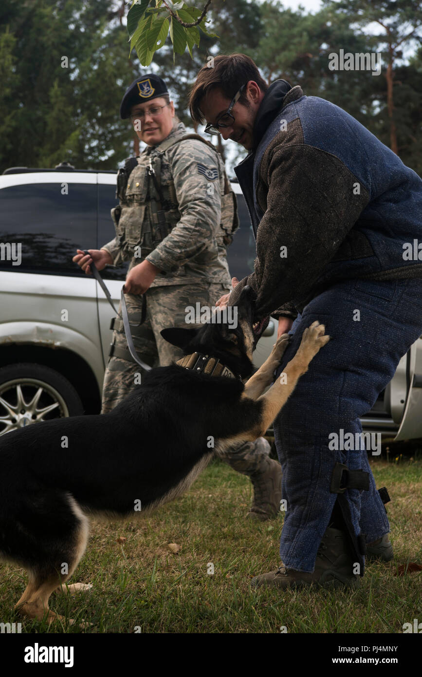 Sfs trainer und handler -Fotos und -Bildmaterial in hoher Auflösung – Alamy