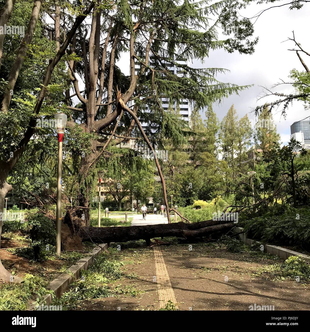 Utsubo park -Fotos und -Bildmaterial in hoher Auflösung – Alamy