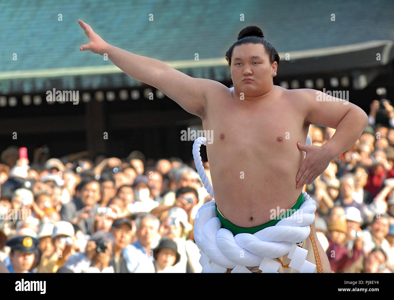 Mongolischen Sumo-ringer Hakuho, tragen zeremonielle Seil Gurt ist ein ...