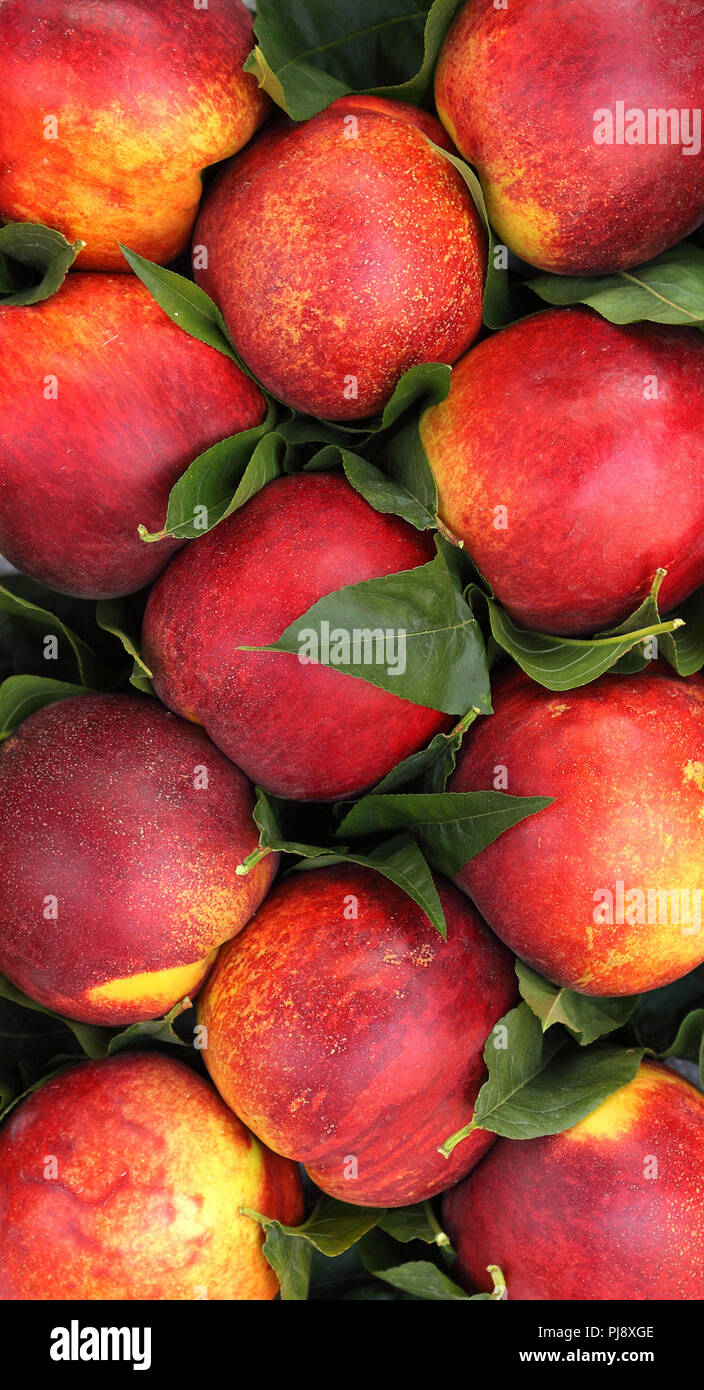 Essen Rahmen Stockfotos und -bilder Kaufen - Seite 2 - Alamy