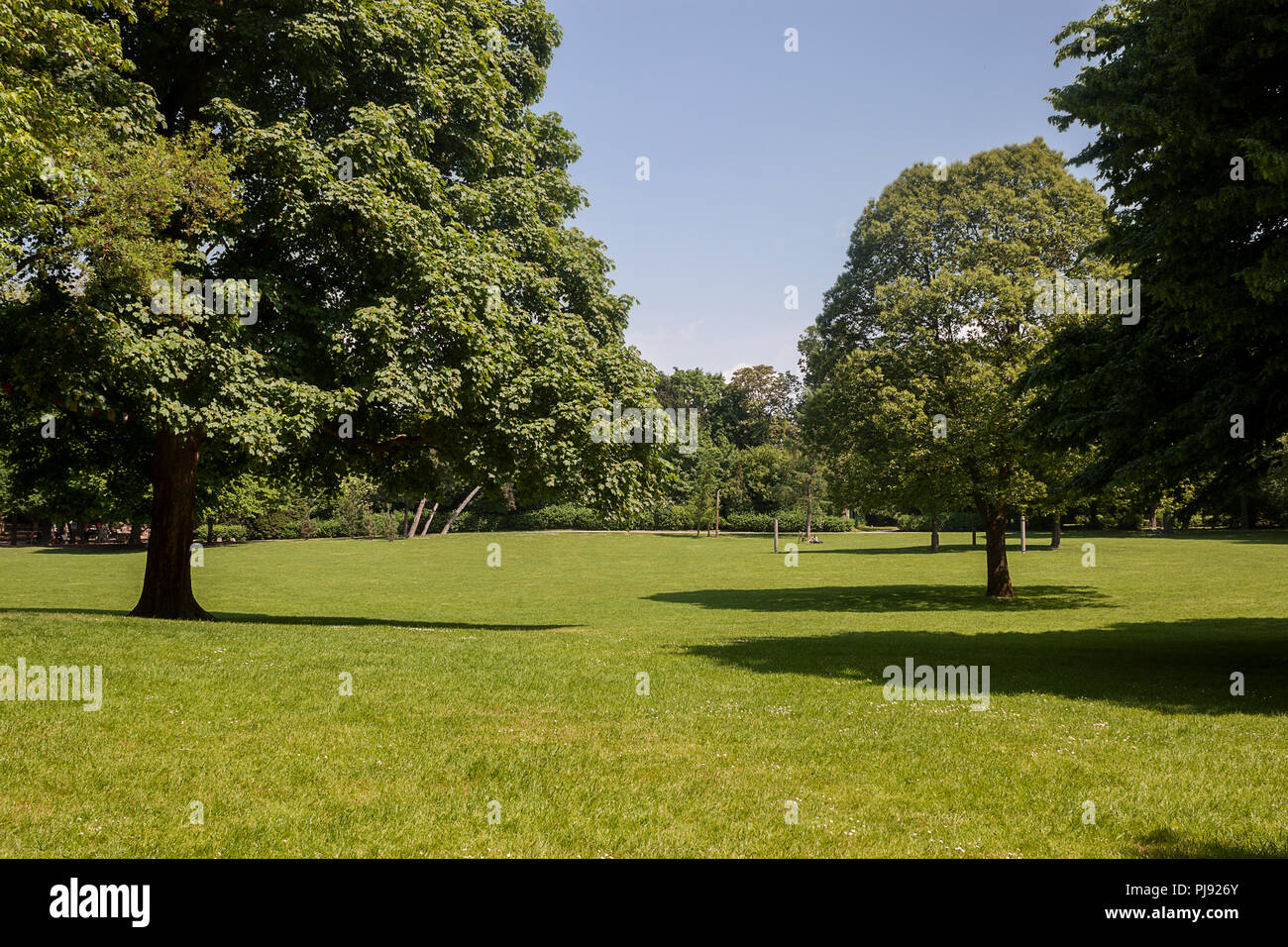 Schönen park Szene in öffentlichen Park mit grünem Gras Feld, grüner ...