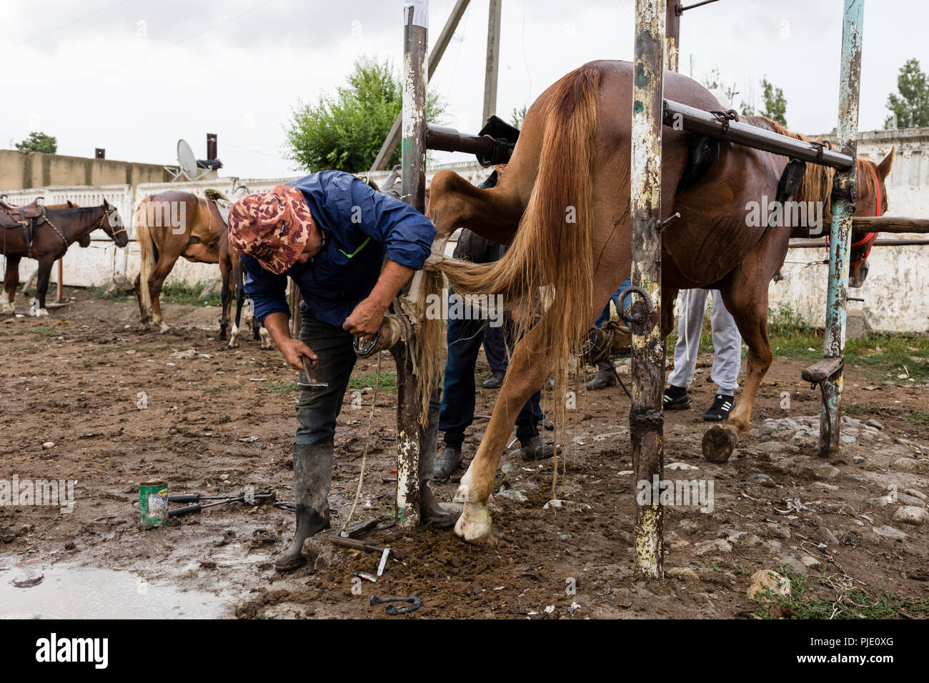 Hoof shoe -Fotos und -Bildmaterial in hoher Auflösung – Alamy