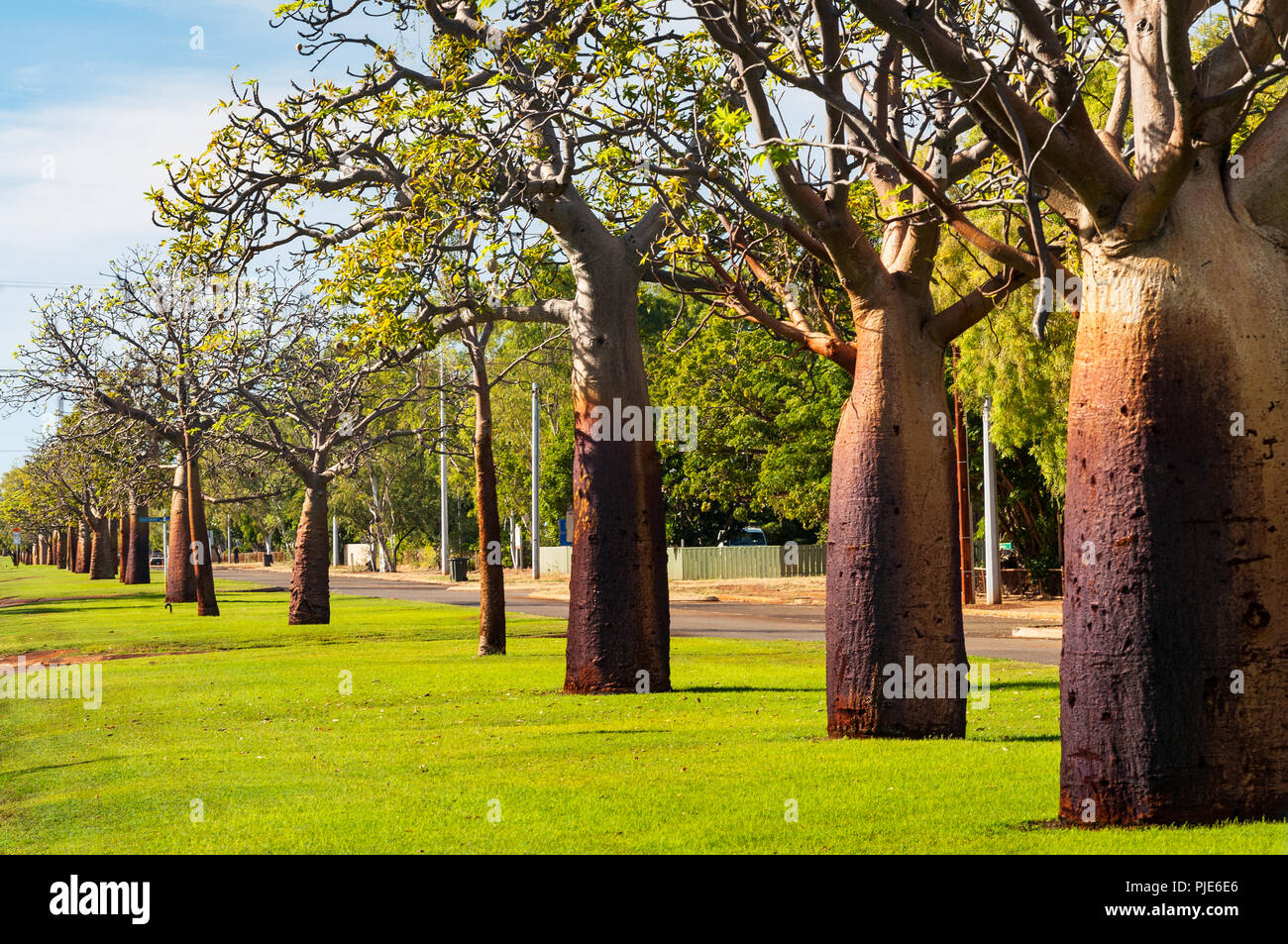 Derby Australien Stockfotos und -bilder Kaufen - Alamy