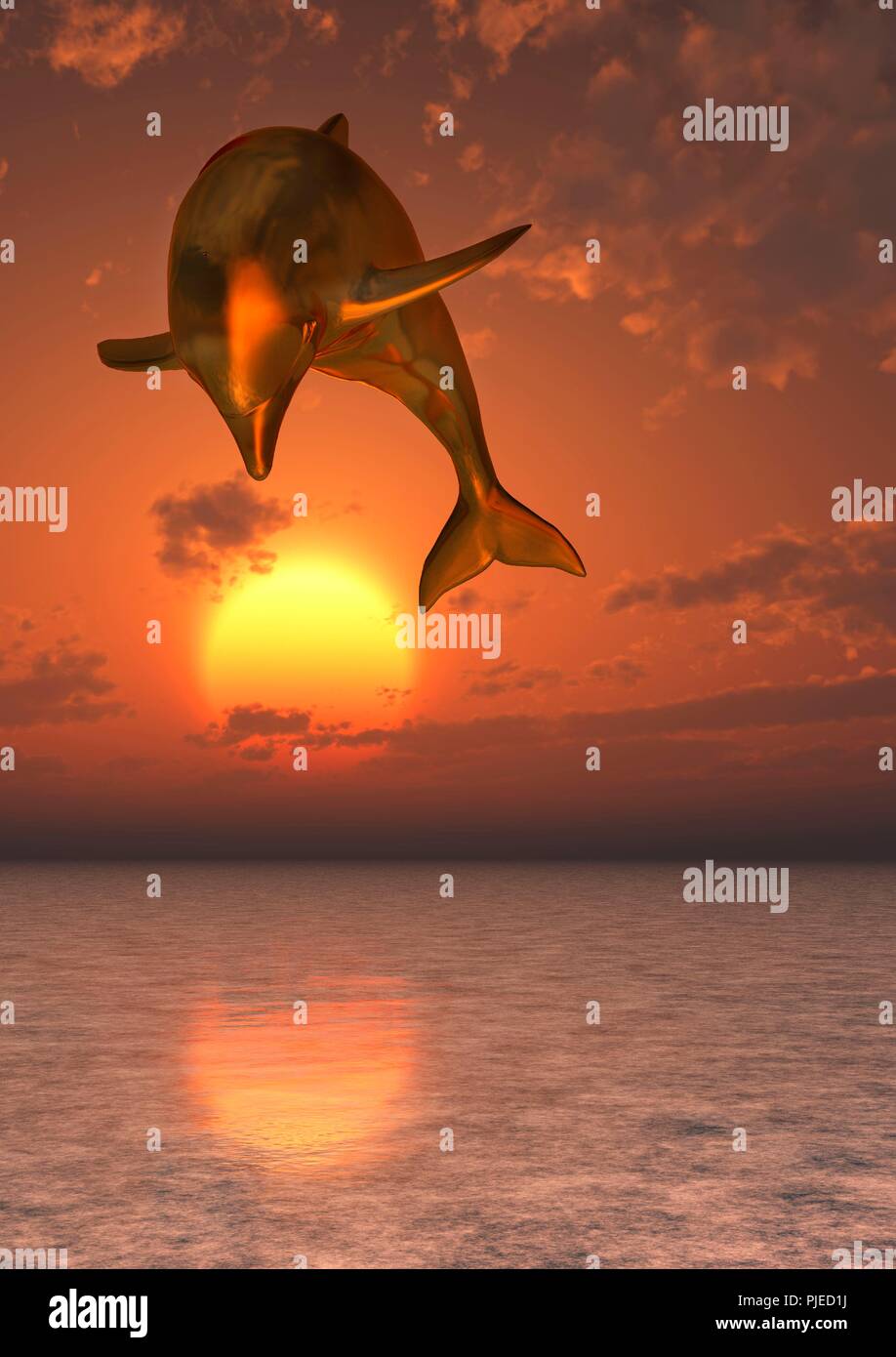 Dolphin jumping out water -Fotos und -Bildmaterial in hoher Auflösung ...