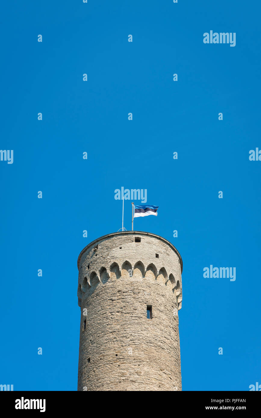 Pikk hermann -Fotos und -Bildmaterial in hoher Auflösung – Alamy