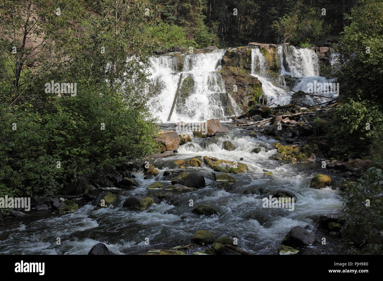 Bridge creek falls -Fotos und -Bildmaterial in hoher Auflösung – Alamy