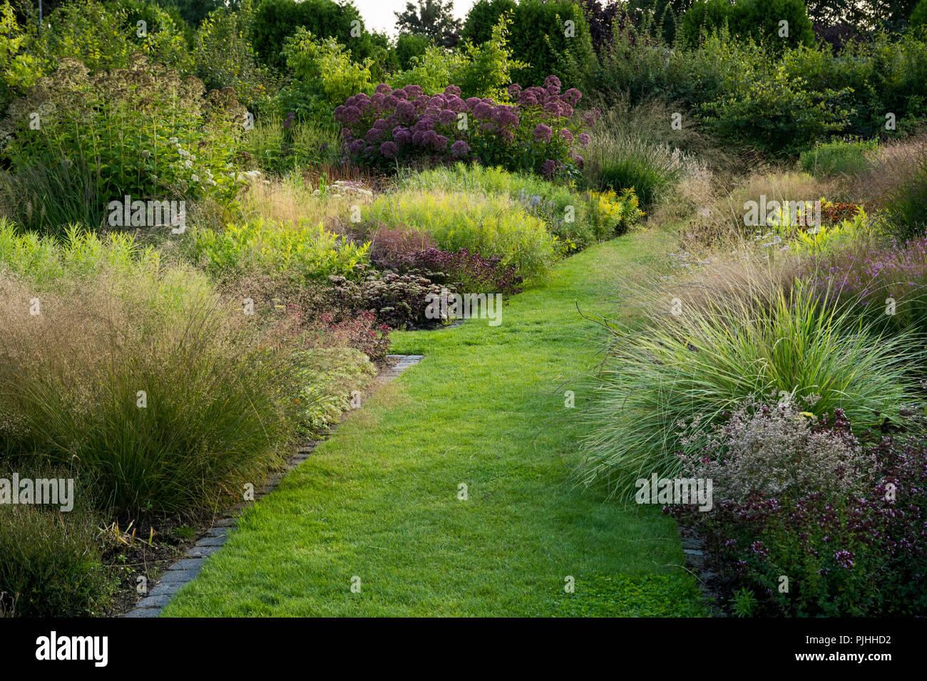 Stauden grenze -Fotos und -Bildmaterial in hoher Auflösung – Alamy