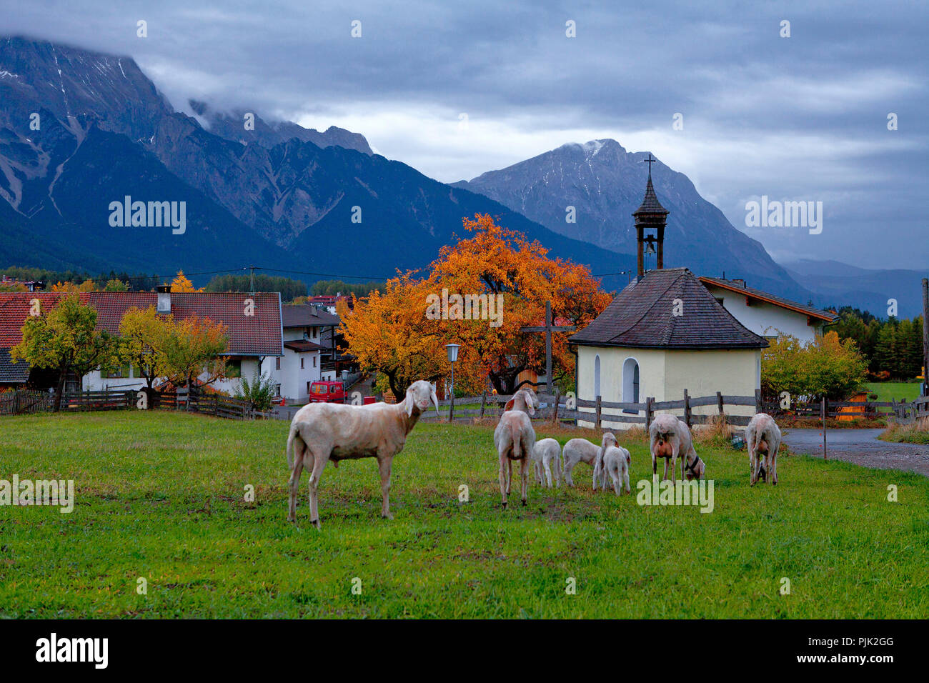 Autumn in obsteig -Fotos und -Bildmaterial in hoher Auflösung – Alamy