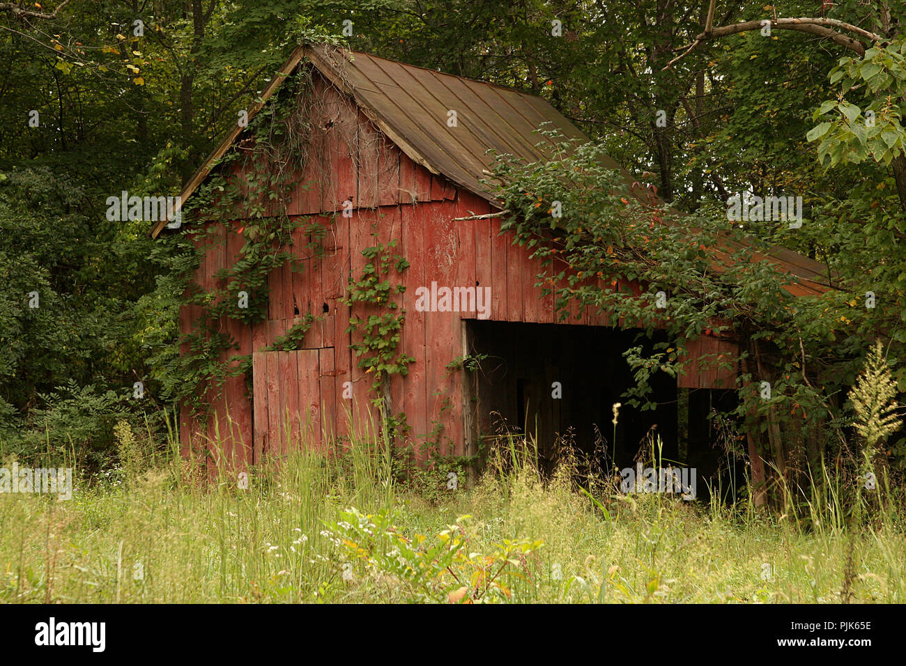 Collapsing shed -Fotos und -Bildmaterial in hoher Auflösung – Alamy