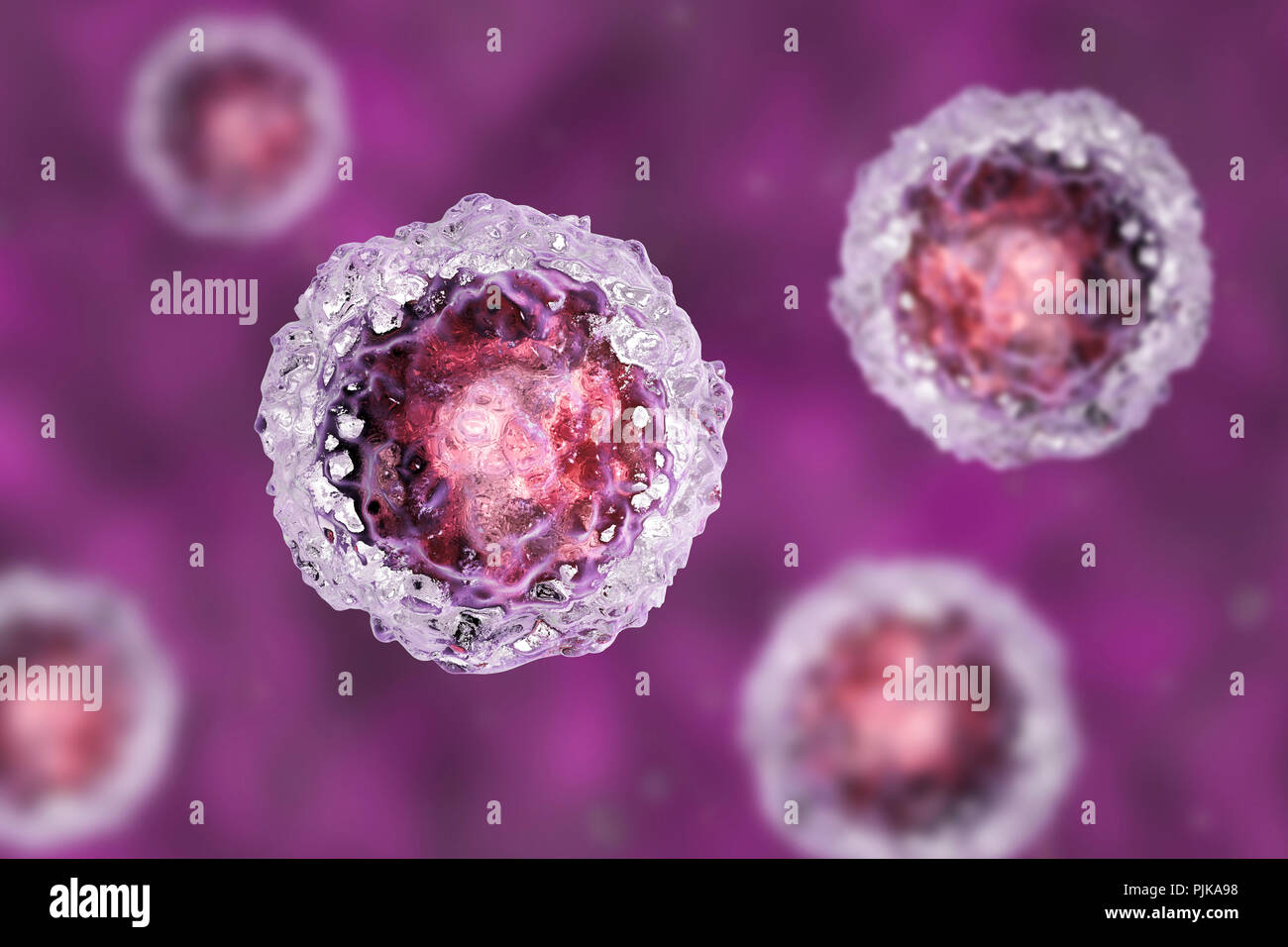 Embryonische stammzellen -Fotos und -Bildmaterial in hoher Auflösung ...