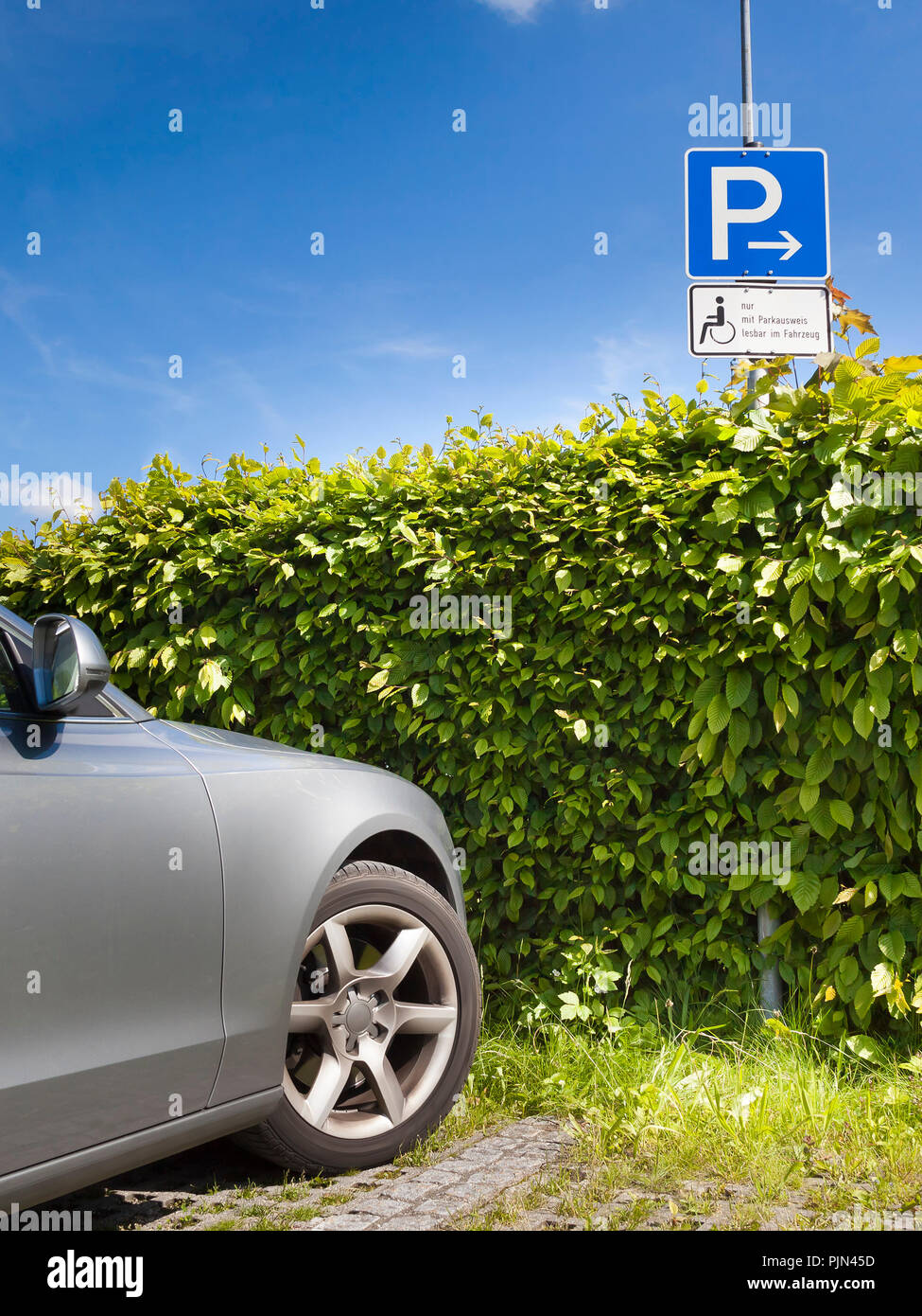 Ein Zeichen, das auf einen Parkplatz für Behinderte, Ein deutsches ...