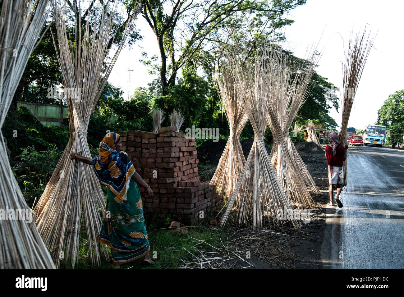 Jute anbau -Fotos und -Bildmaterial in hoher Auflösung – Alamy