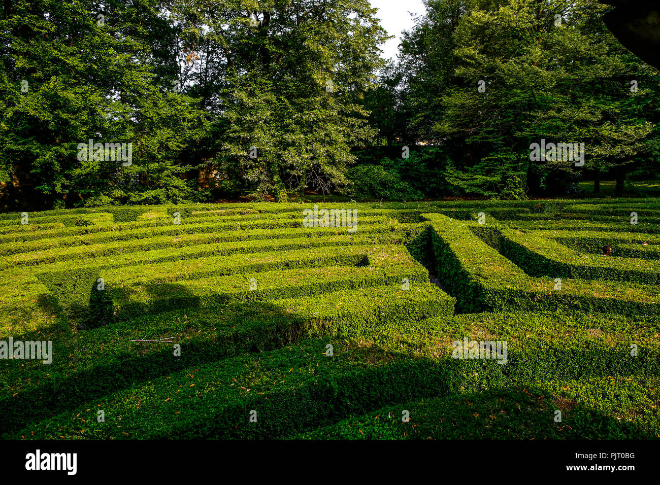 Pisani labyrinth -Fotos und -Bildmaterial in hoher Auflösung – Alamy