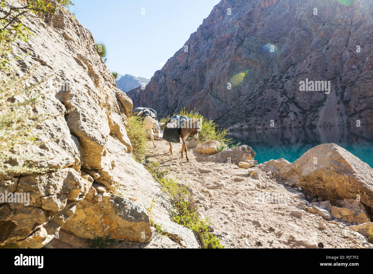 Esel Pamir Berge Stockfotos und -bilder Kaufen - Alamy
