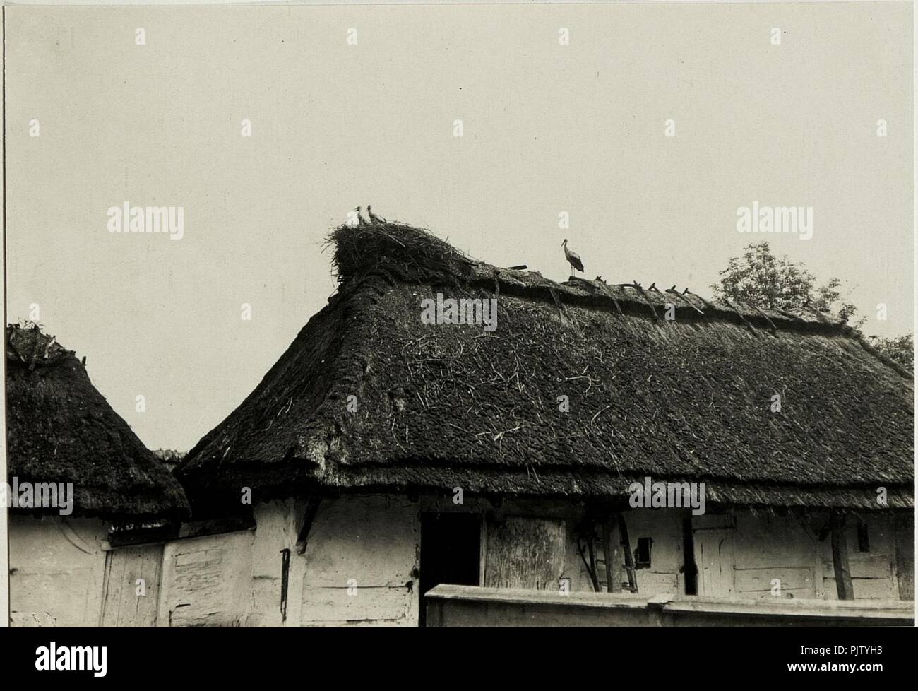 Bauernhaus an der -Fotos und -Bildmaterial in hoher Auflösung – Alamy