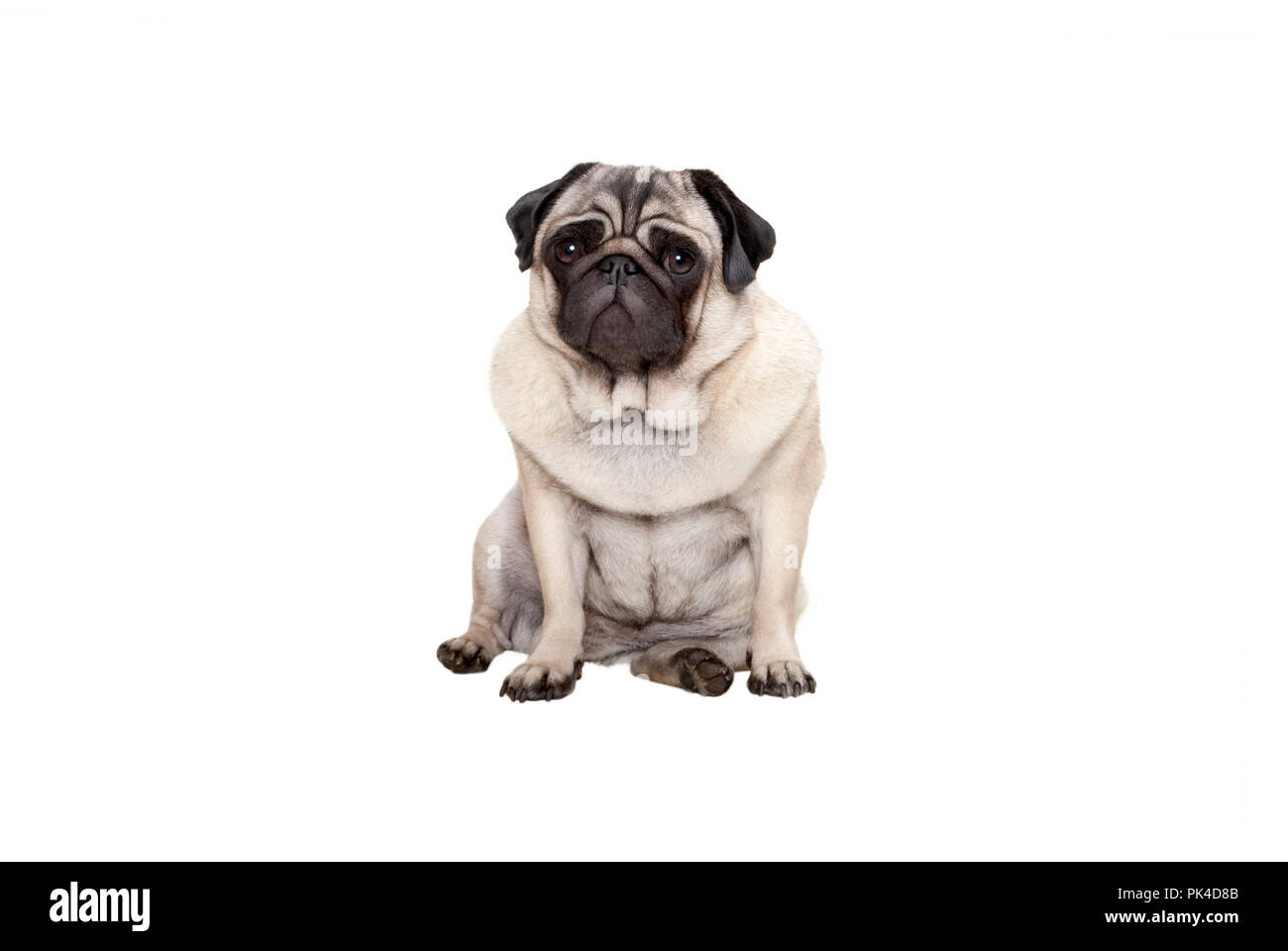 Sitzendes gesicht zu -Fotos und -Bildmaterial in hoher Auflösung – Alamy