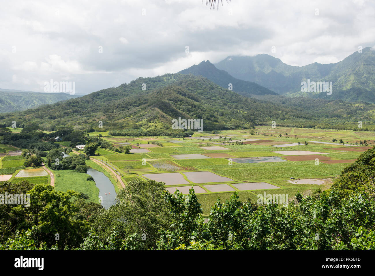 Taro fluss -Fotos und -Bildmaterial in hoher Auflösung – Alamy