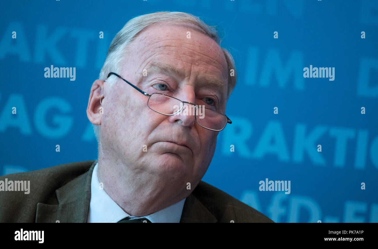 Afd bundestagsfraktion -Fotos und -Bildmaterial in hoher Auflösung – Alamy