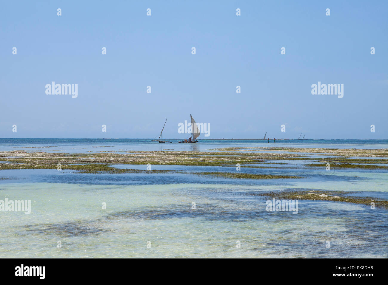 Strand ebbe im hintergrund -Fotos und -Bildmaterial in hoher Auflösung ...