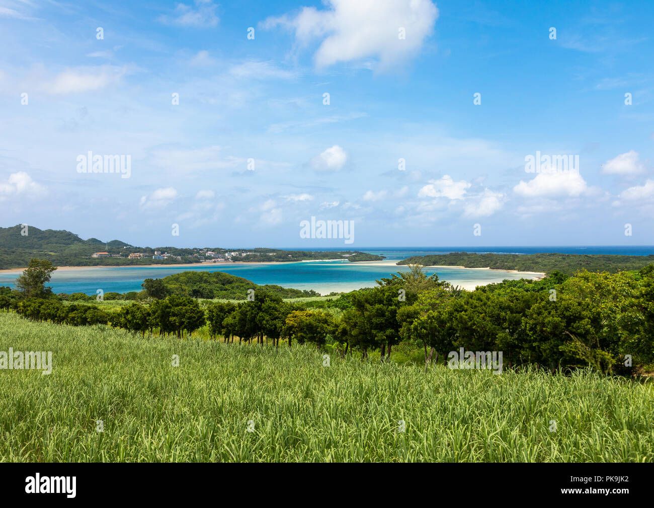 Yaeyama jima -Fotos und -Bildmaterial in hoher Auflösung – Alamy