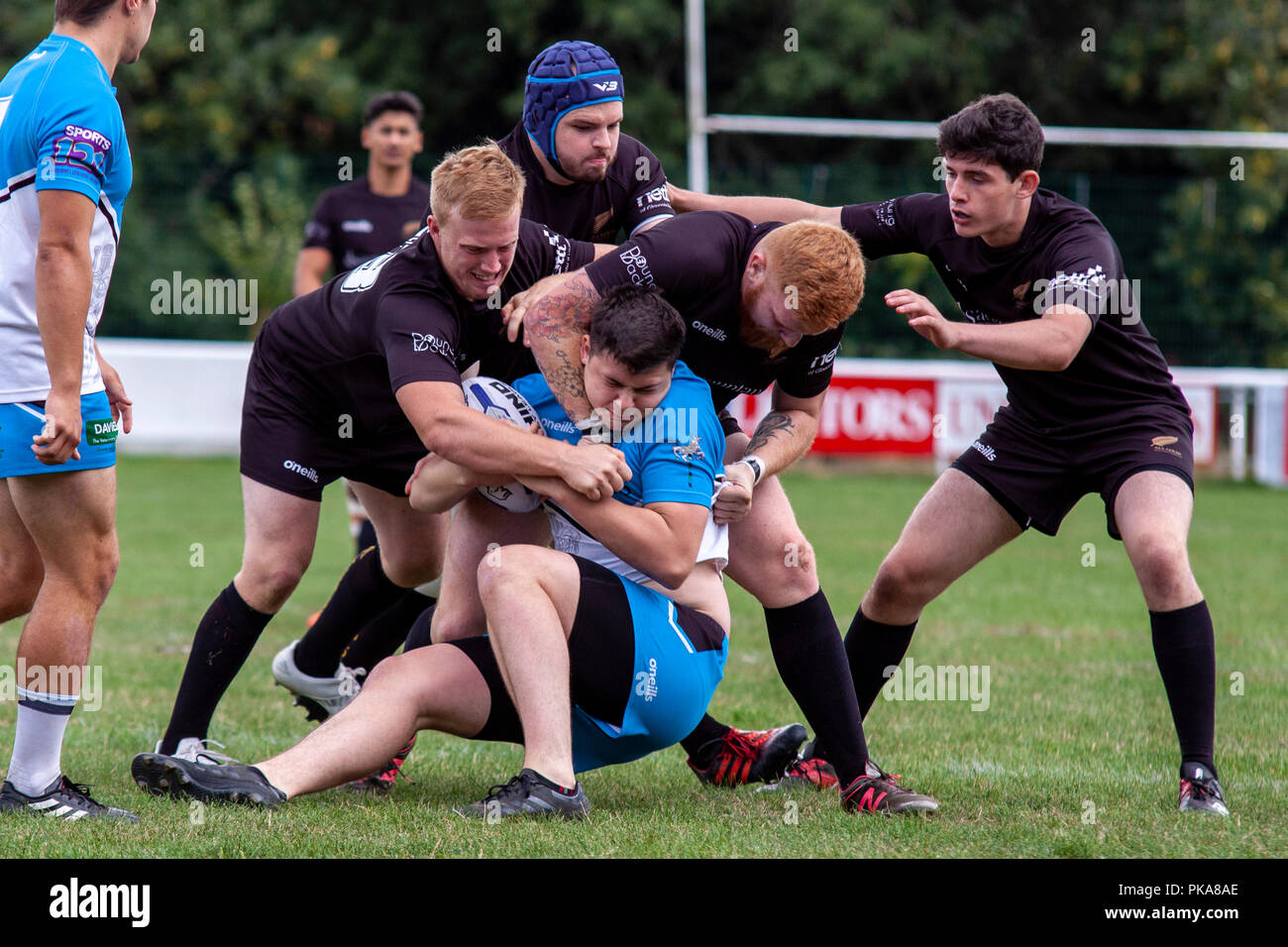 Harry jepson -Fotos und -Bildmaterial in hoher Auflösung – Alamy