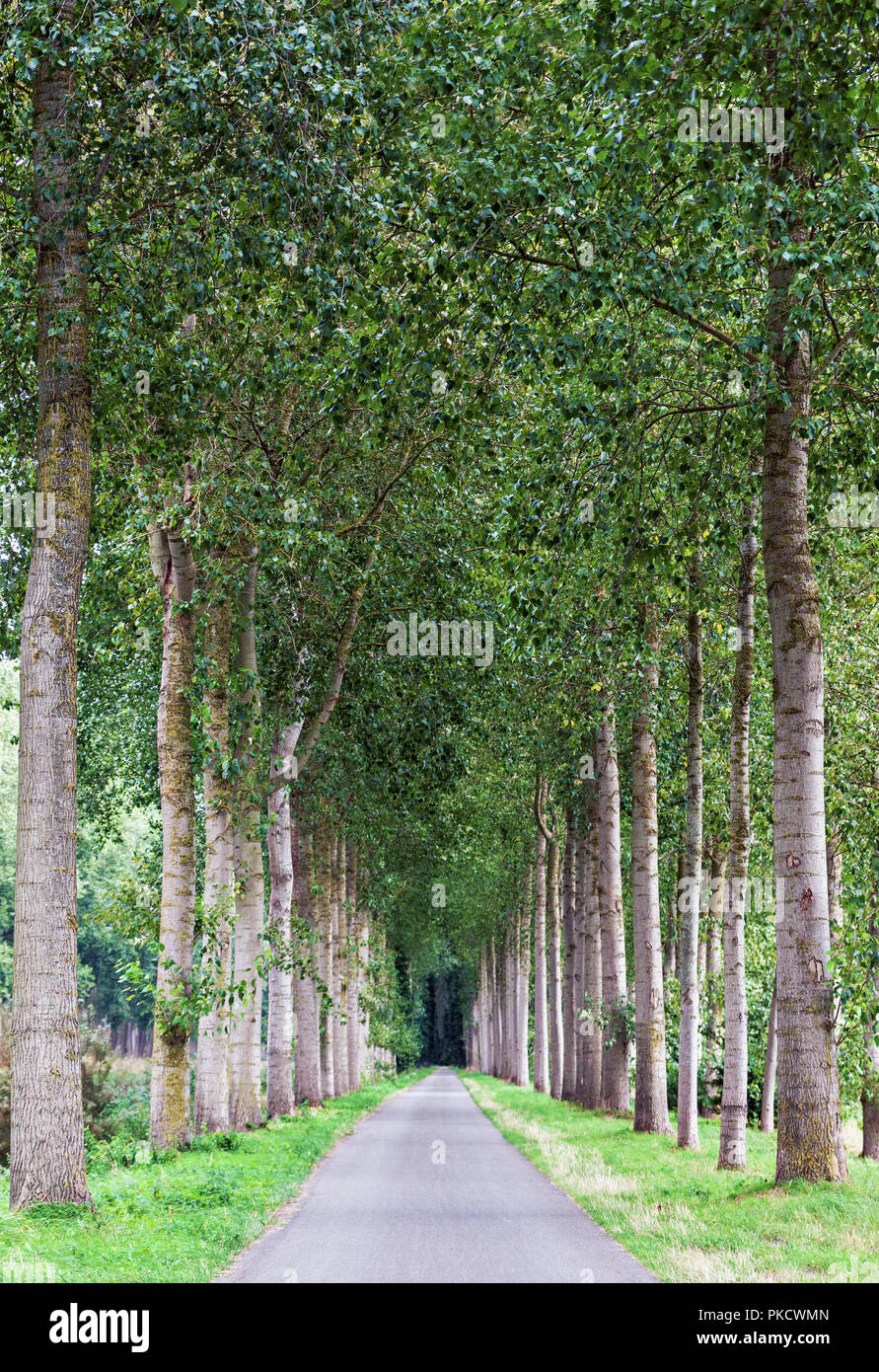 Vanishing point -Fotos und -Bildmaterial in hoher Auflösung – Alamy