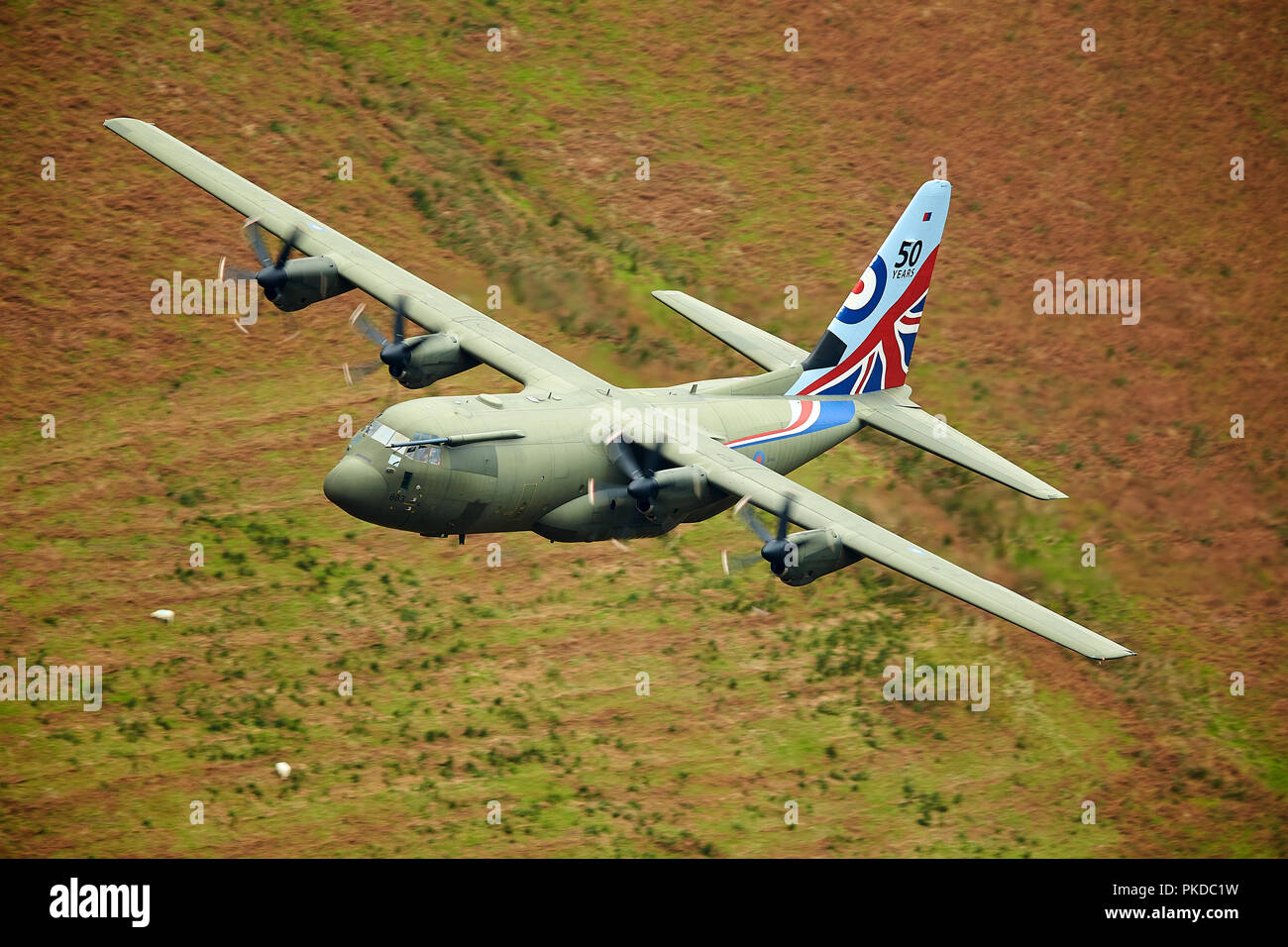 RAF Hercules C-130 in der Mach Loop, North Wales, UK Stockfotografie ...