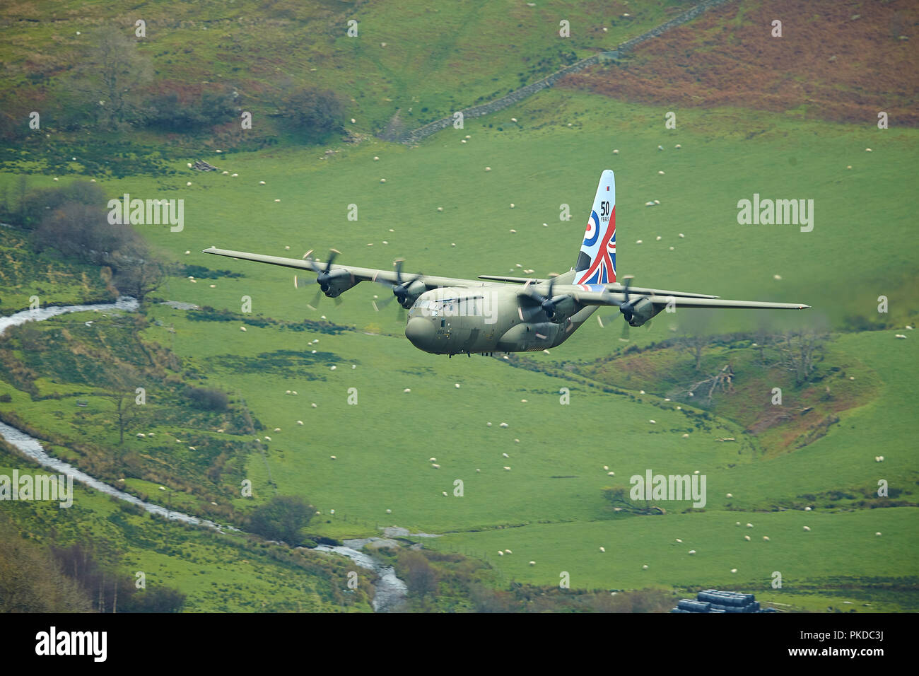RAF Hercules C-130 in der Mach Loop, North Wales, UK Stockfotografie ...
