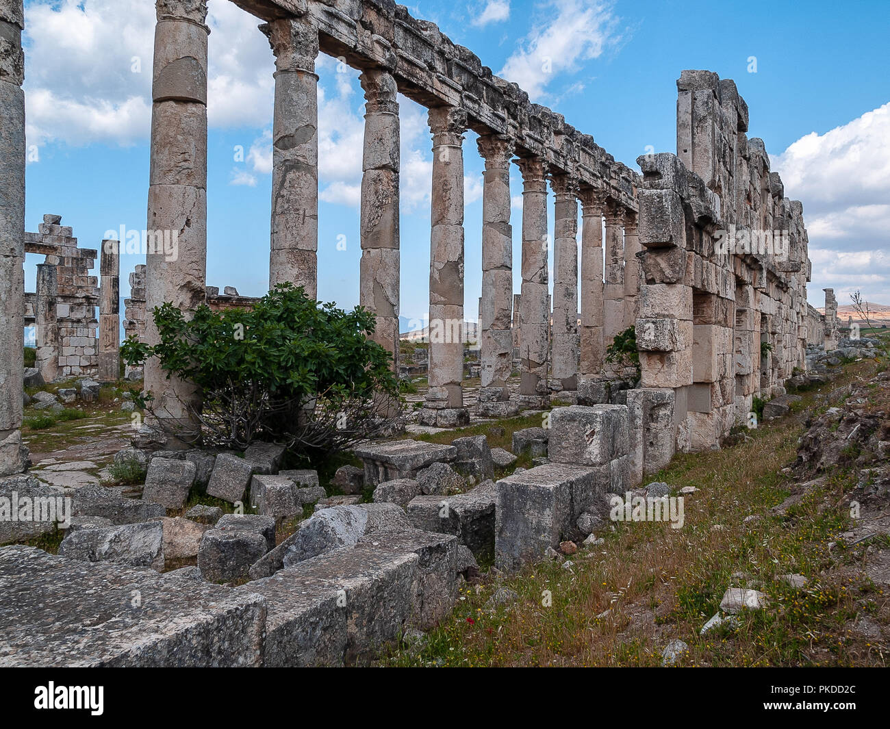 Al madiq -Fotos und -Bildmaterial in hoher Auflösung – Alamy