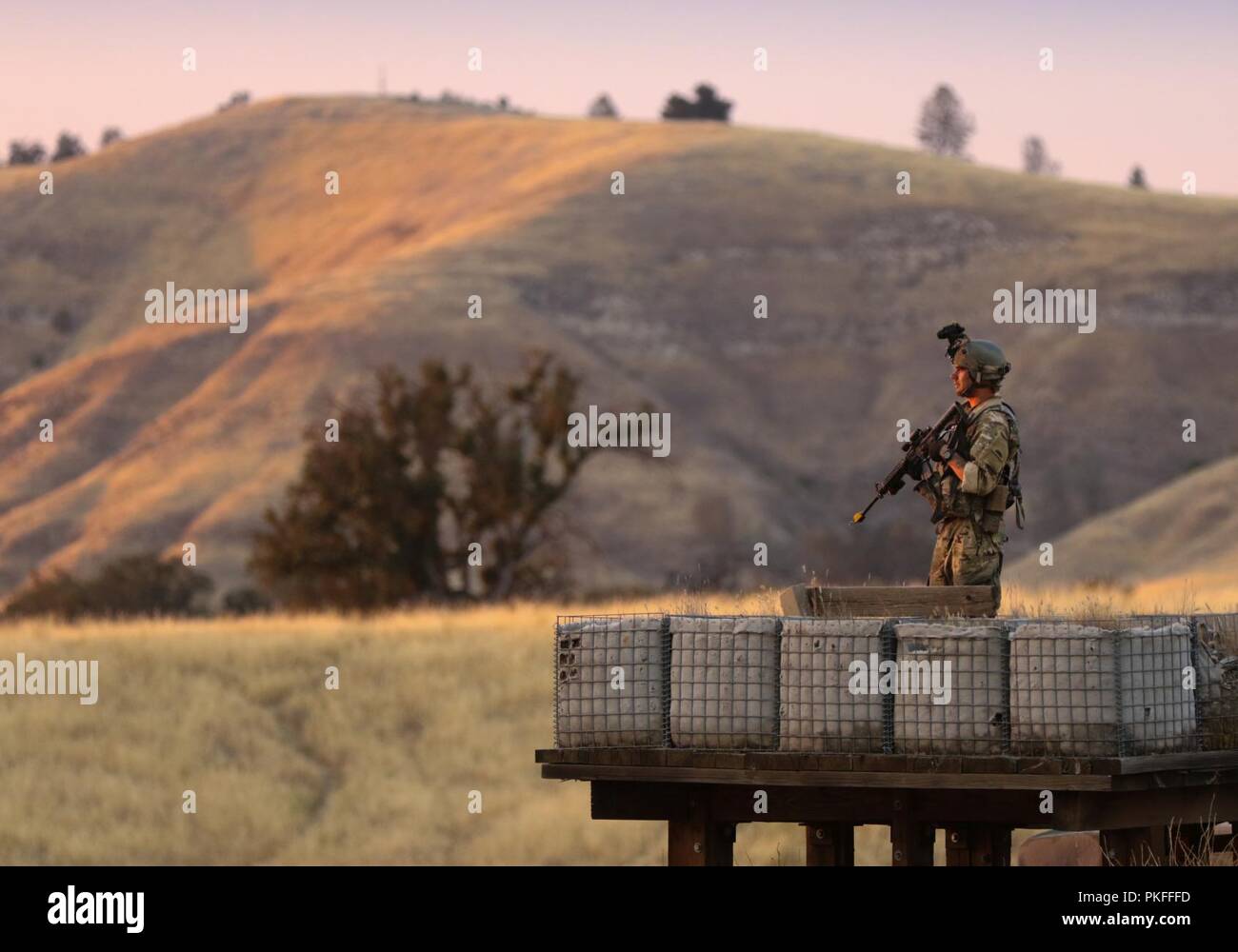 41st ibct -Fotos und -Bildmaterial in hoher Auflösung – Alamy