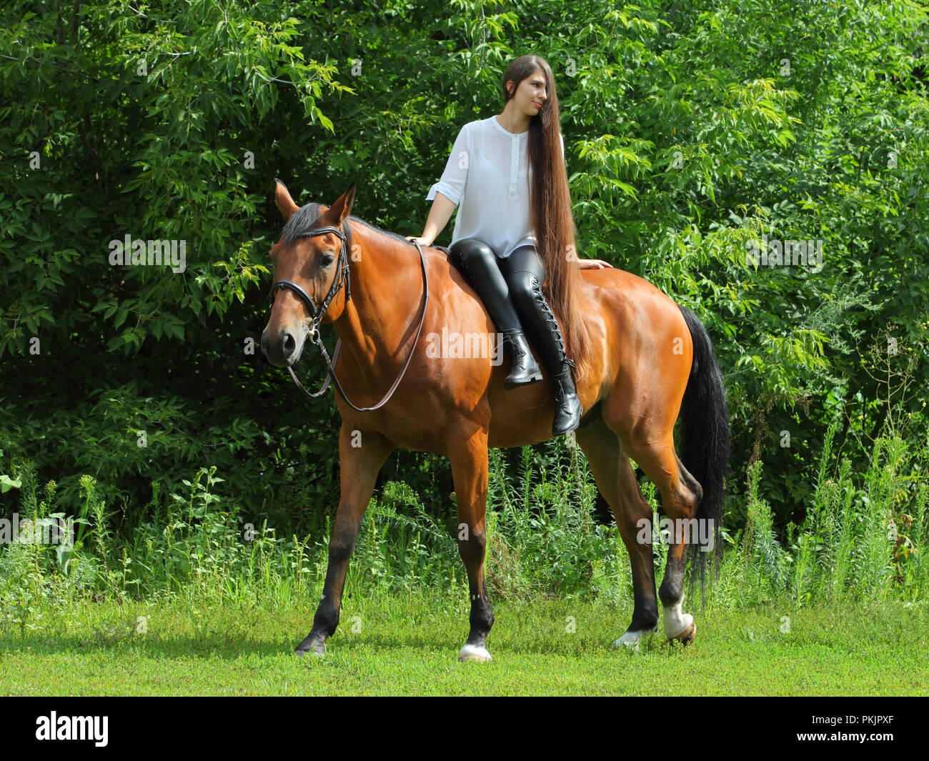 Mädchen sitzt auf dem pferd -Fotos und -Bildmaterial in hoher Auflösung ...