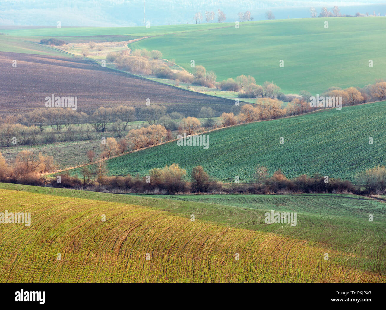 Frühling Morgen ländliche Landschaft mit Gepflügt landwirtschaftliche ... Frühling Morgen ländliche Landschaft mit Gepflügt landwirtschaftliche ...