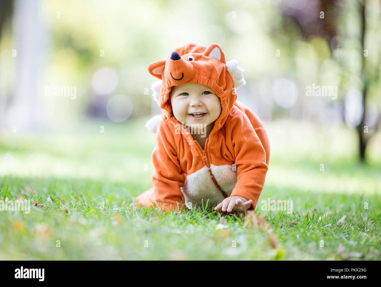 Lachender fuchs -Fotos und -Bildmaterial in hoher Auflösung – Alamy