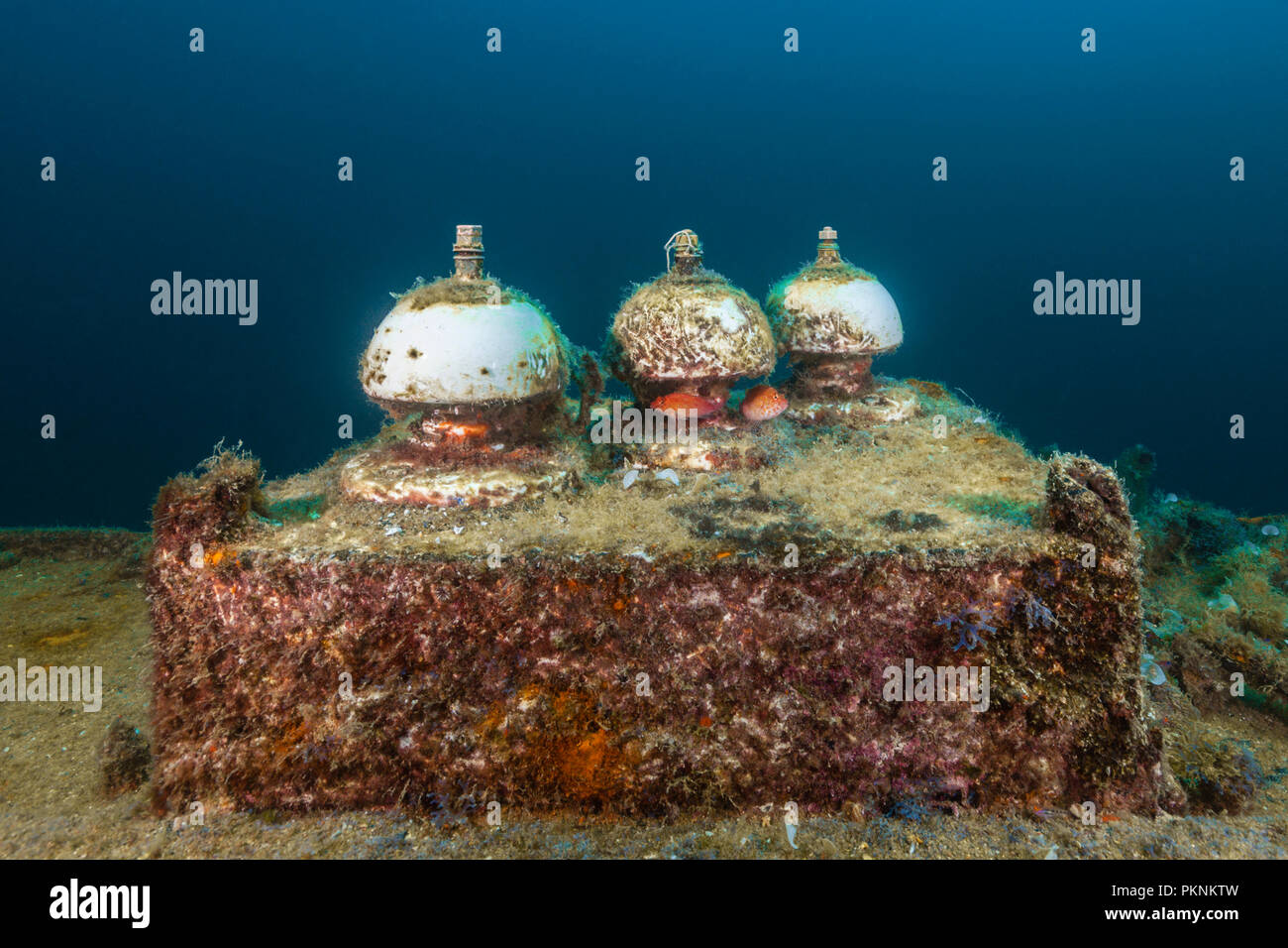 Fangmang schiffswrack -Fotos und -Bildmaterial in hoher Auflösung – Alamy