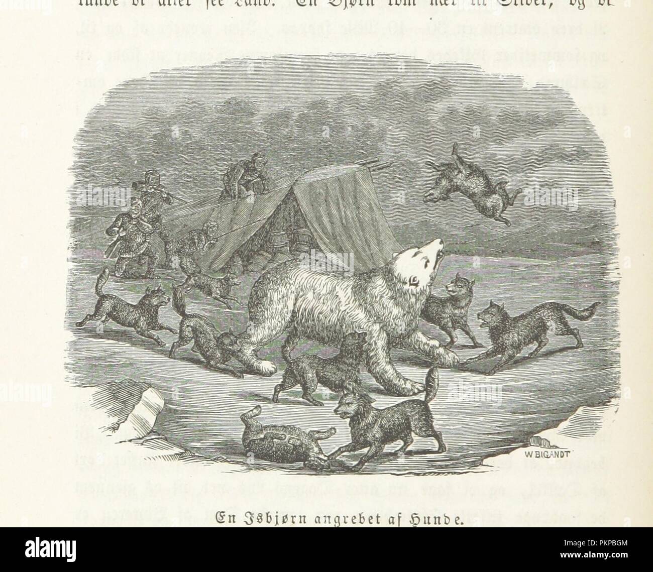 Mcclintock expedition -Fotos und -Bildmaterial in hoher Auflösung – Alamy