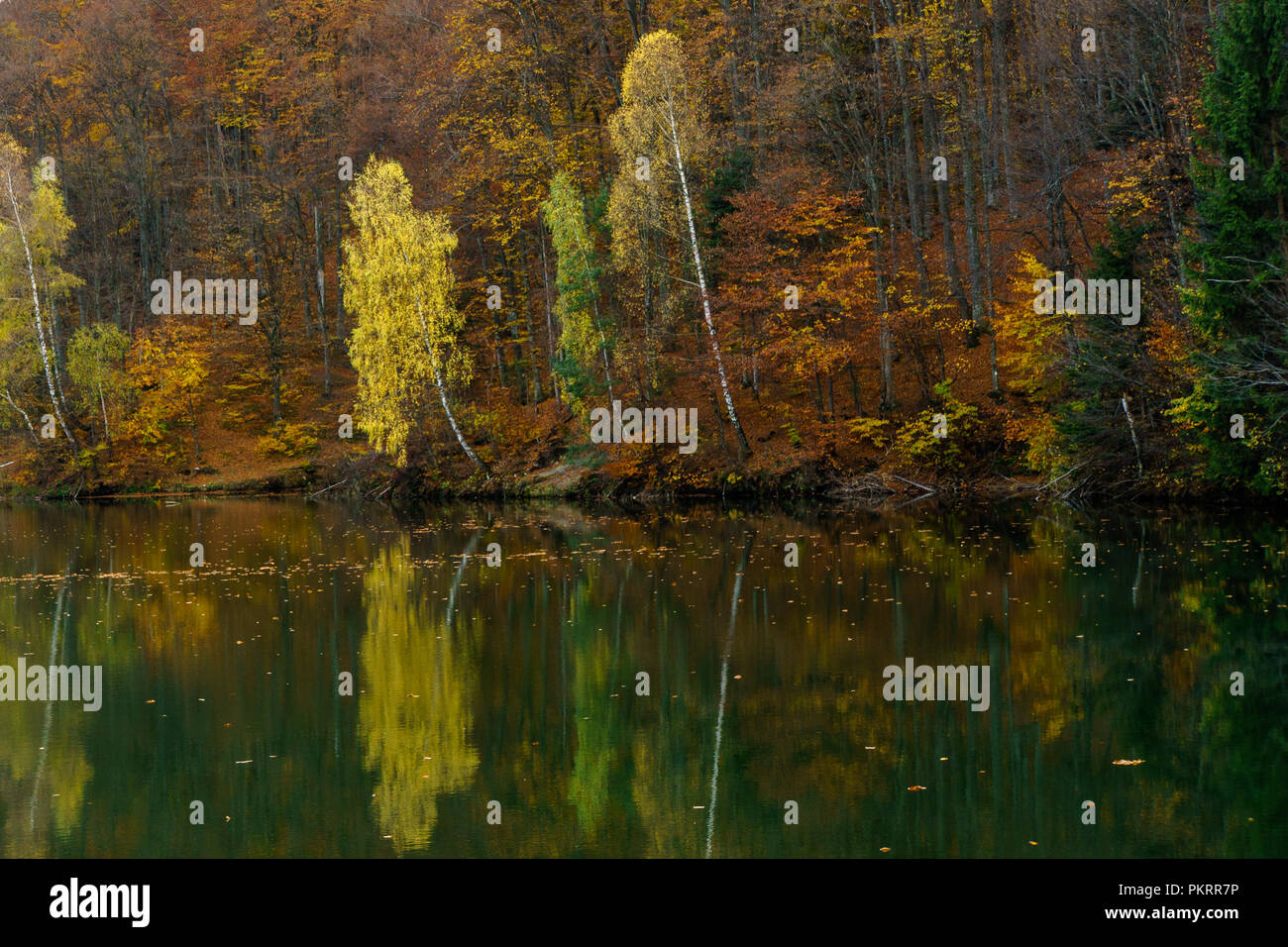 Lago di codlea -Fotos und -Bildmaterial in hoher Auflösung – Alamy