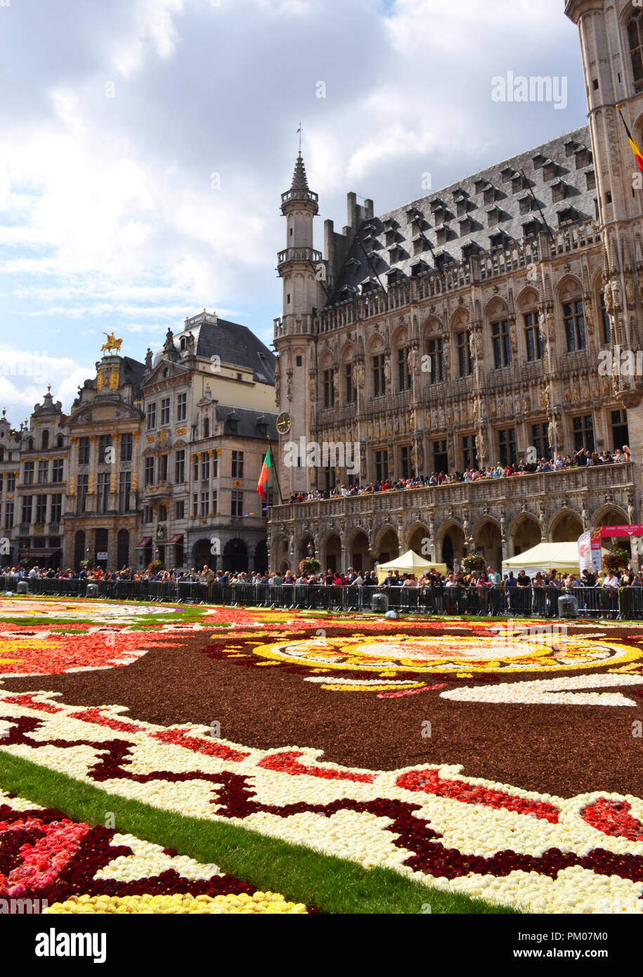 Brussels grand place flower carpet -Fotos und -Bildmaterial in hoher ...