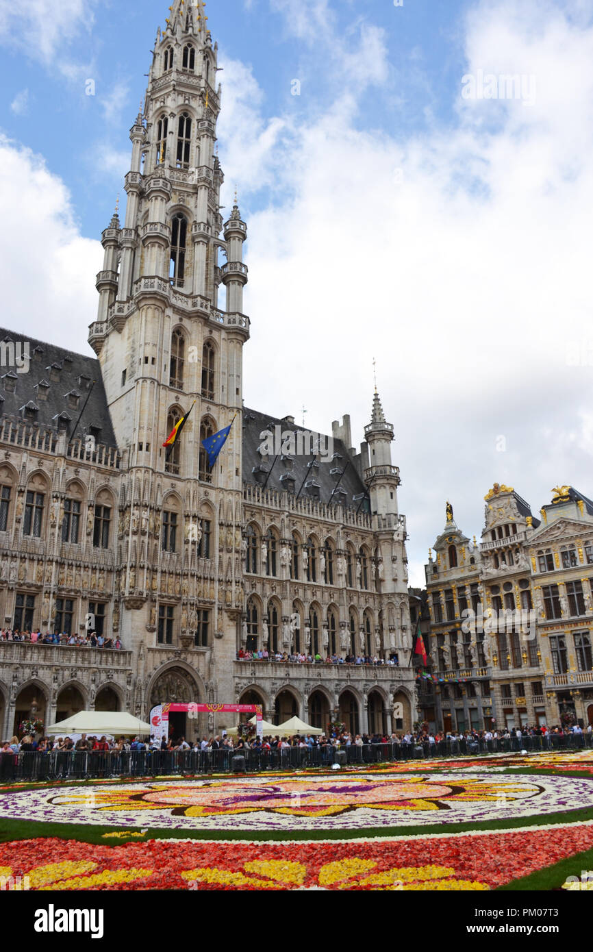 Grand place brussels flower -Fotos und -Bildmaterial in hoher Auflösung ...