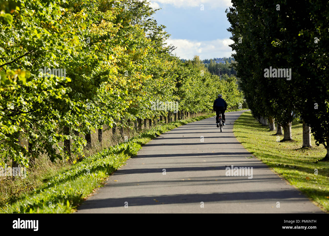Radfahrer Auf Gehweg