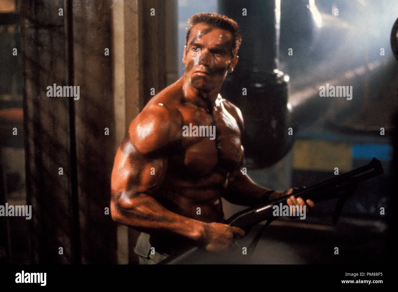 Arnold schwarzenegger commando -Fotos und -Bildmaterial in hoher ...