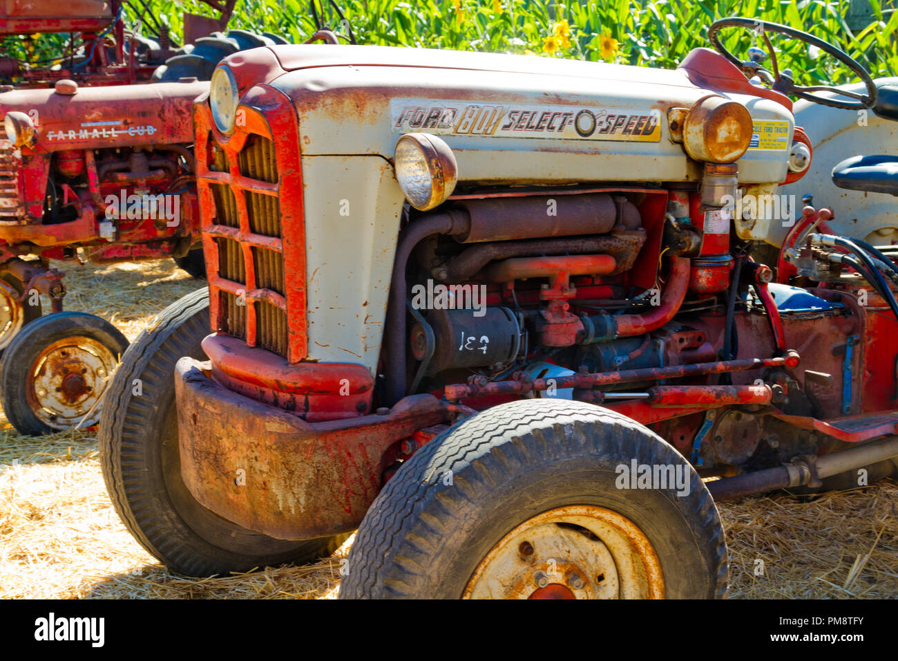 Alter ford traktor -Fotos und -Bildmaterial in hoher Auflösung – Alamy