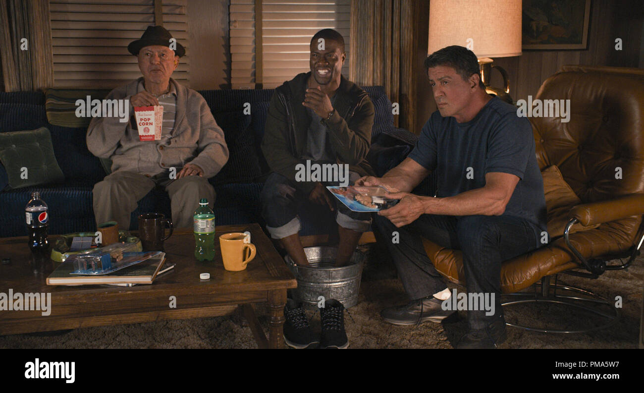 Scharfer ludwig -Fotos und -Bildmaterial in hoher Auflösung – Alamy