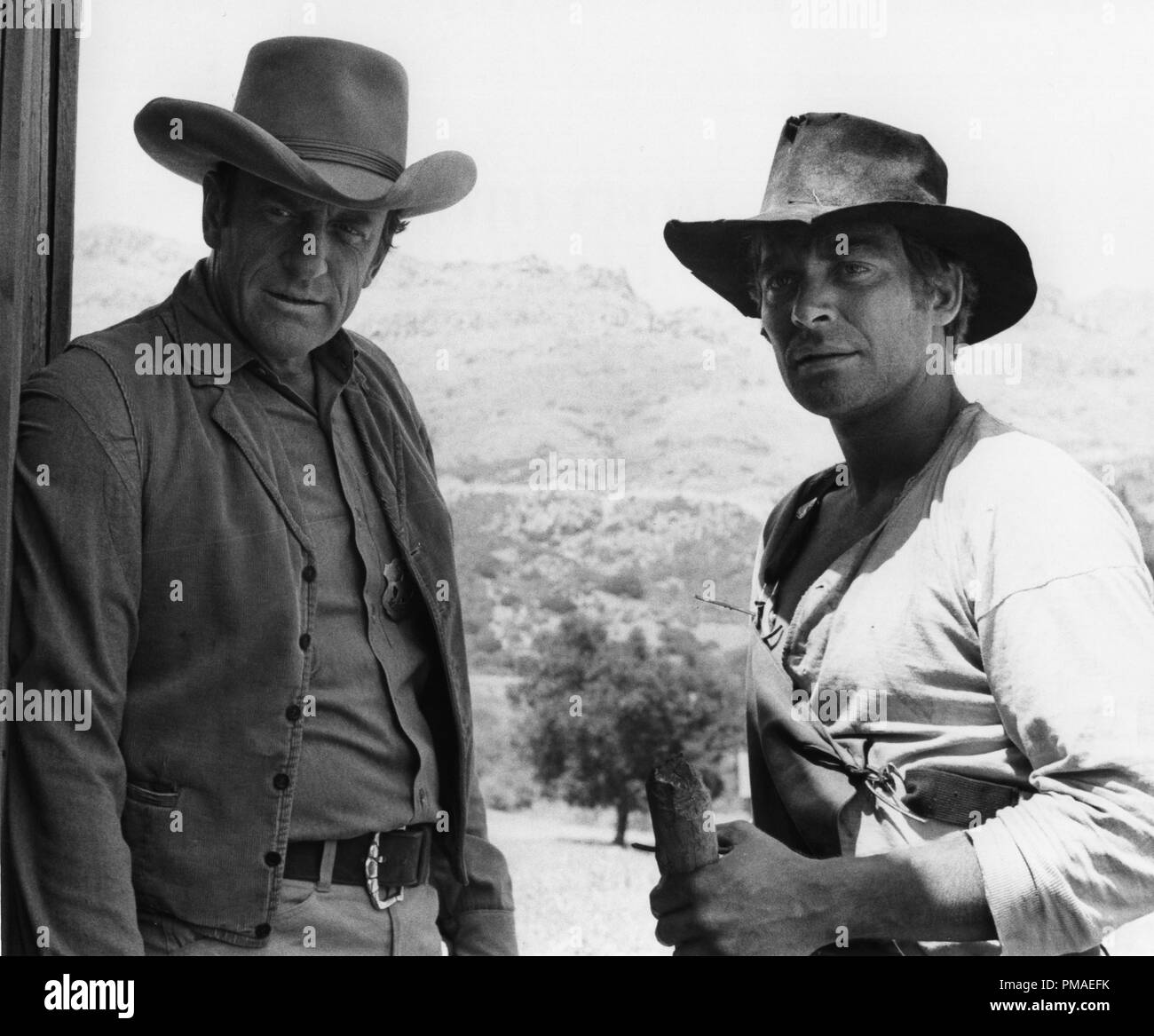 Ross hagen -Fotos und -Bildmaterial in hoher Auflösung – Alamy