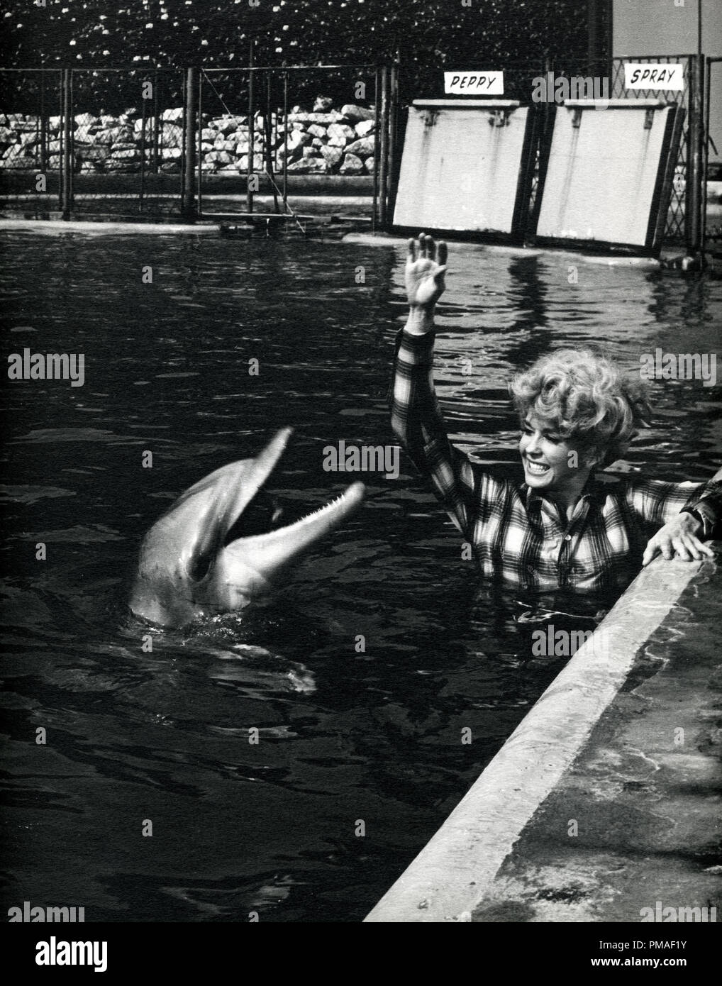 Donna Douglas, Stern der "The Beverly Hillbillies", ca. 1967 © GFS ...