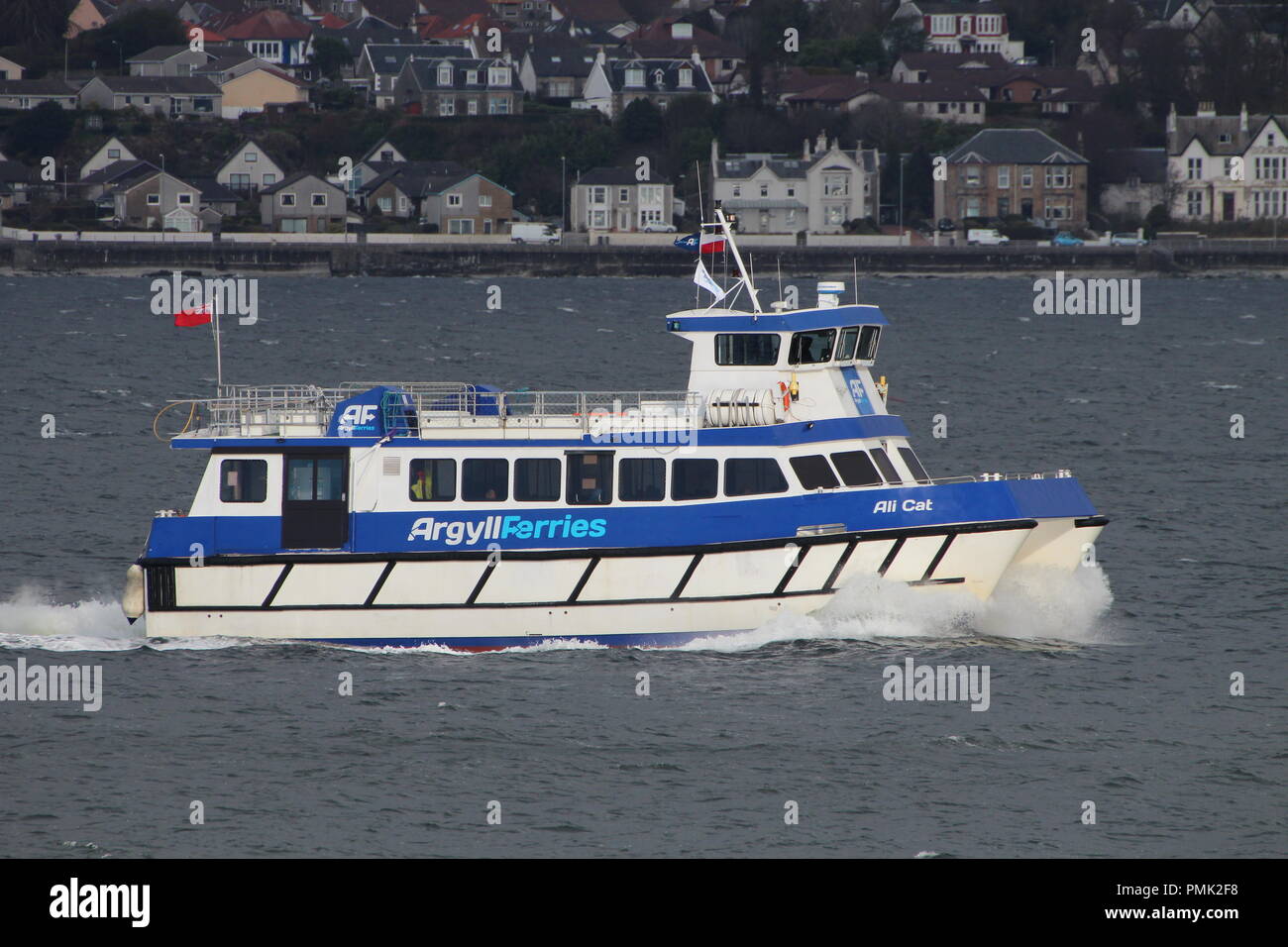 Mv ali katze -Fotos und -Bildmaterial in hoher Auflösung – Alamy