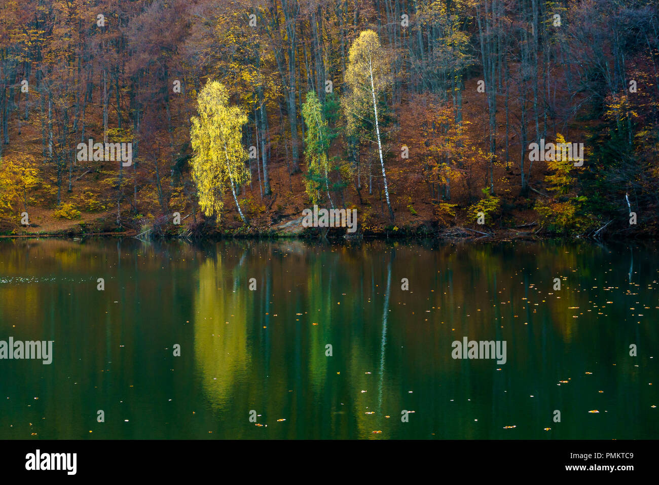 Lago di codlea -Fotos und -Bildmaterial in hoher Auflösung – Alamy