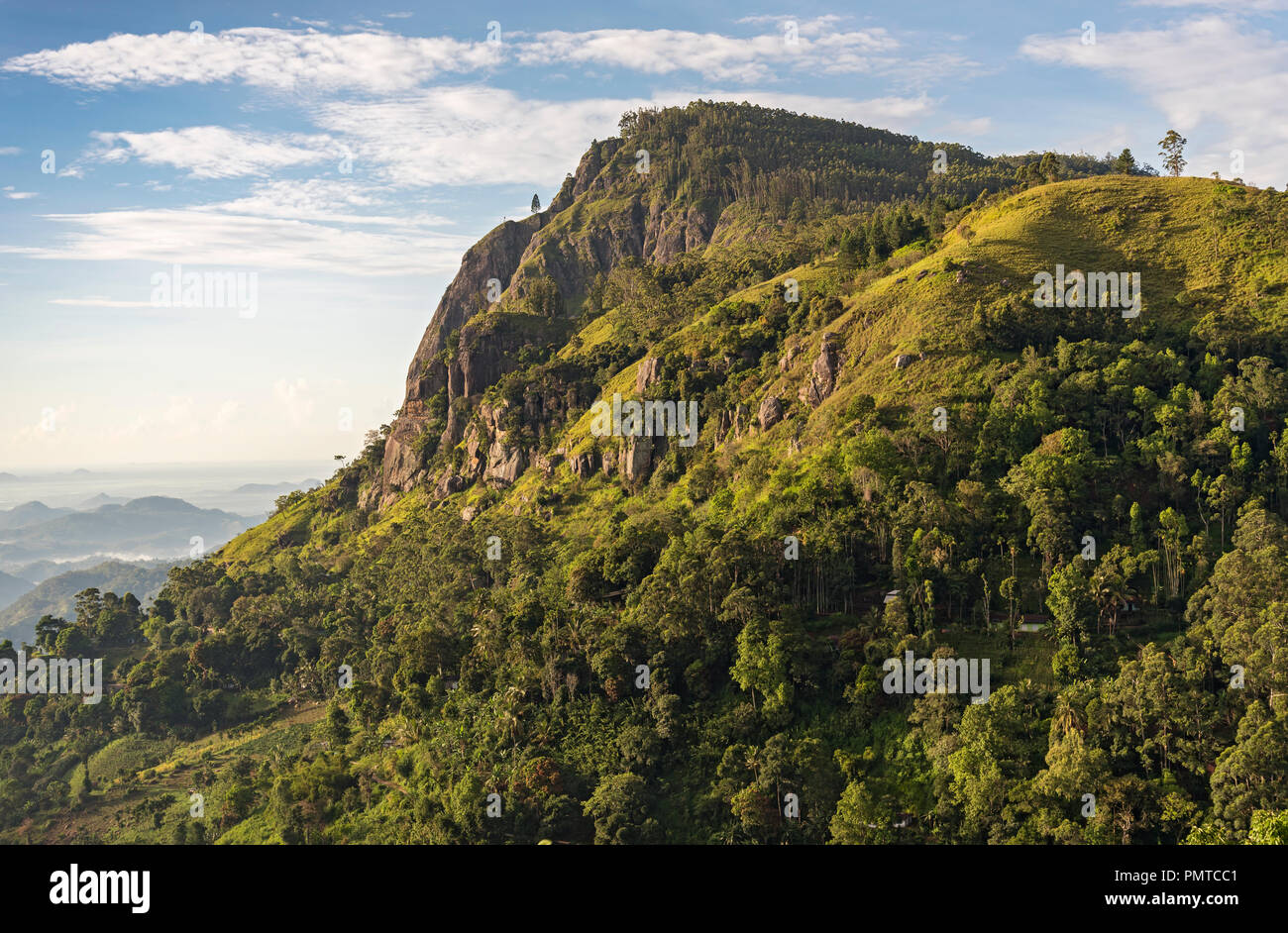 Ella rock -Fotos und -Bildmaterial in hoher Auflösung – Alamy