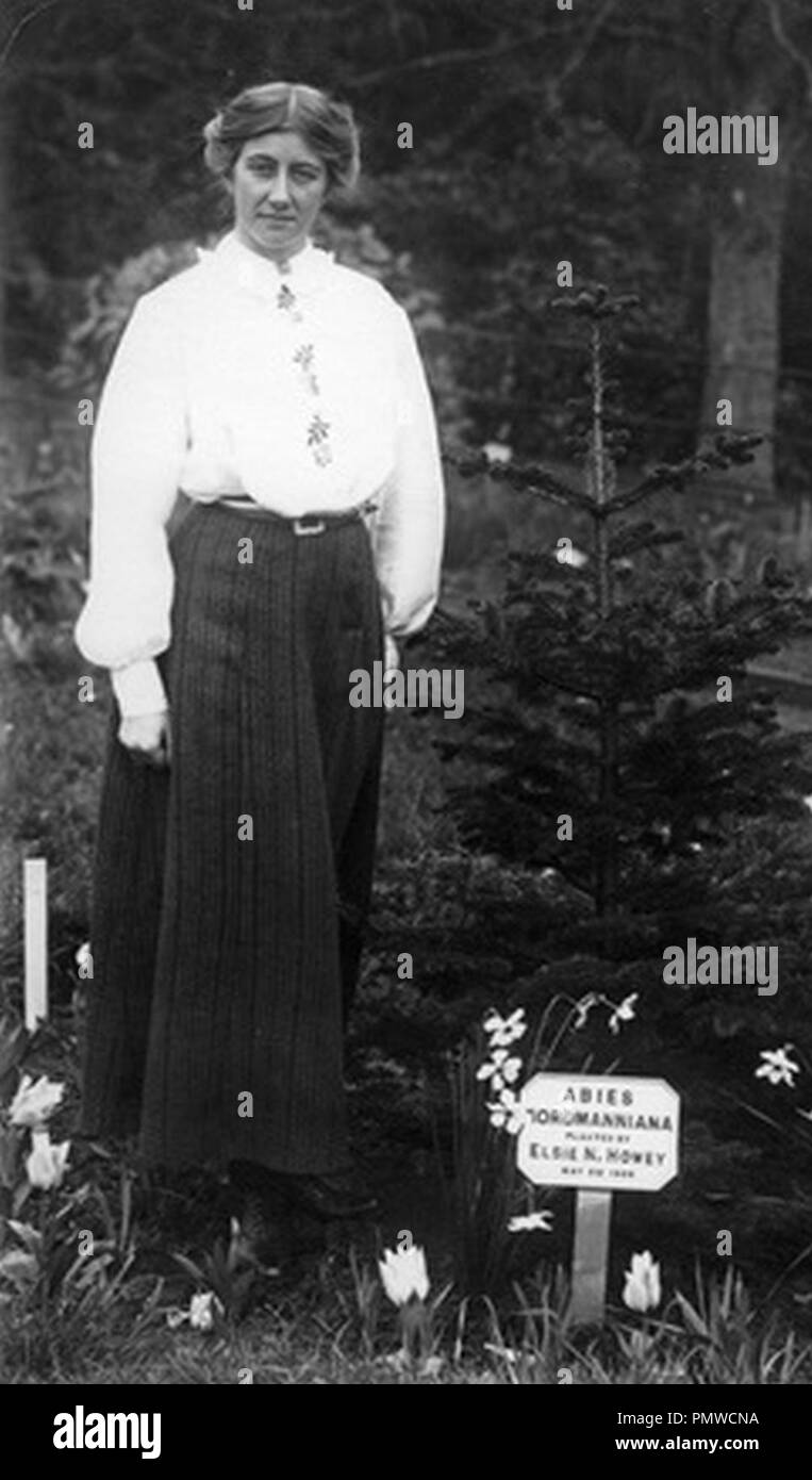 Elsie howey -Fotos und -Bildmaterial in hoher Auflösung – Alamy