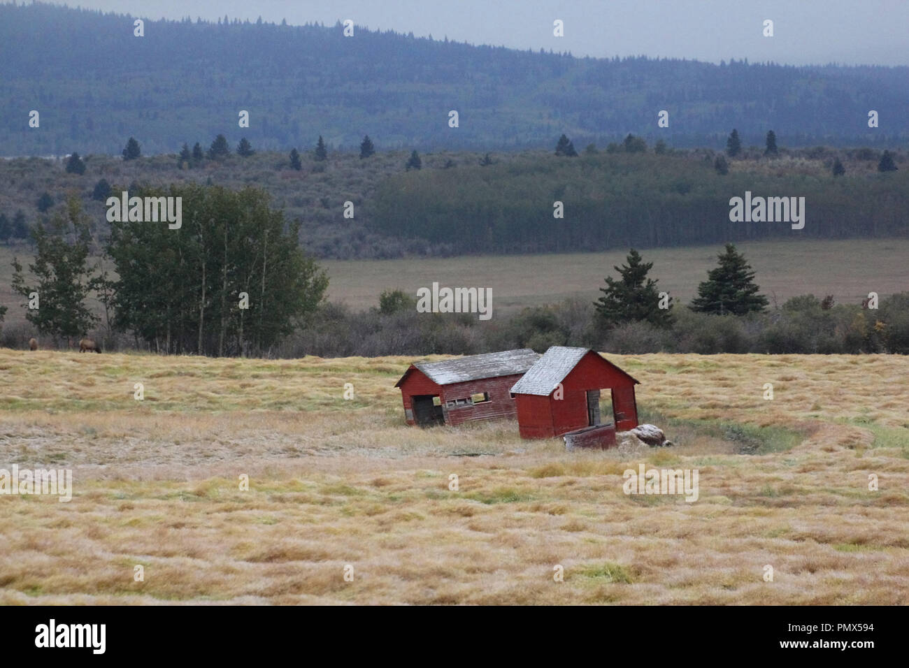 Zwei getreidespeicher -Fotos und -Bildmaterial in hoher Auflösung – Alamy
