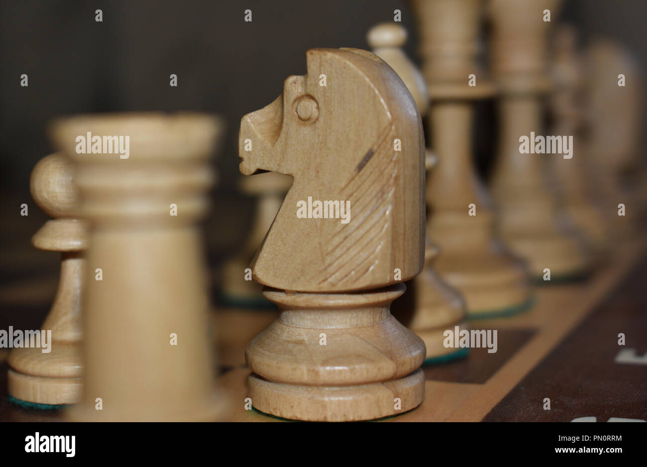 Ritter des schwans -Fotos und -Bildmaterial in hoher Auflösung – Alamy